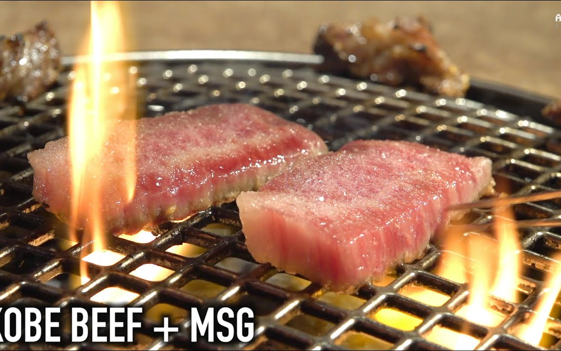 日本的神户牛肉烧烤&脆脆的章鱼烧———【Aden Films】_哔哩哔哩_bilibili