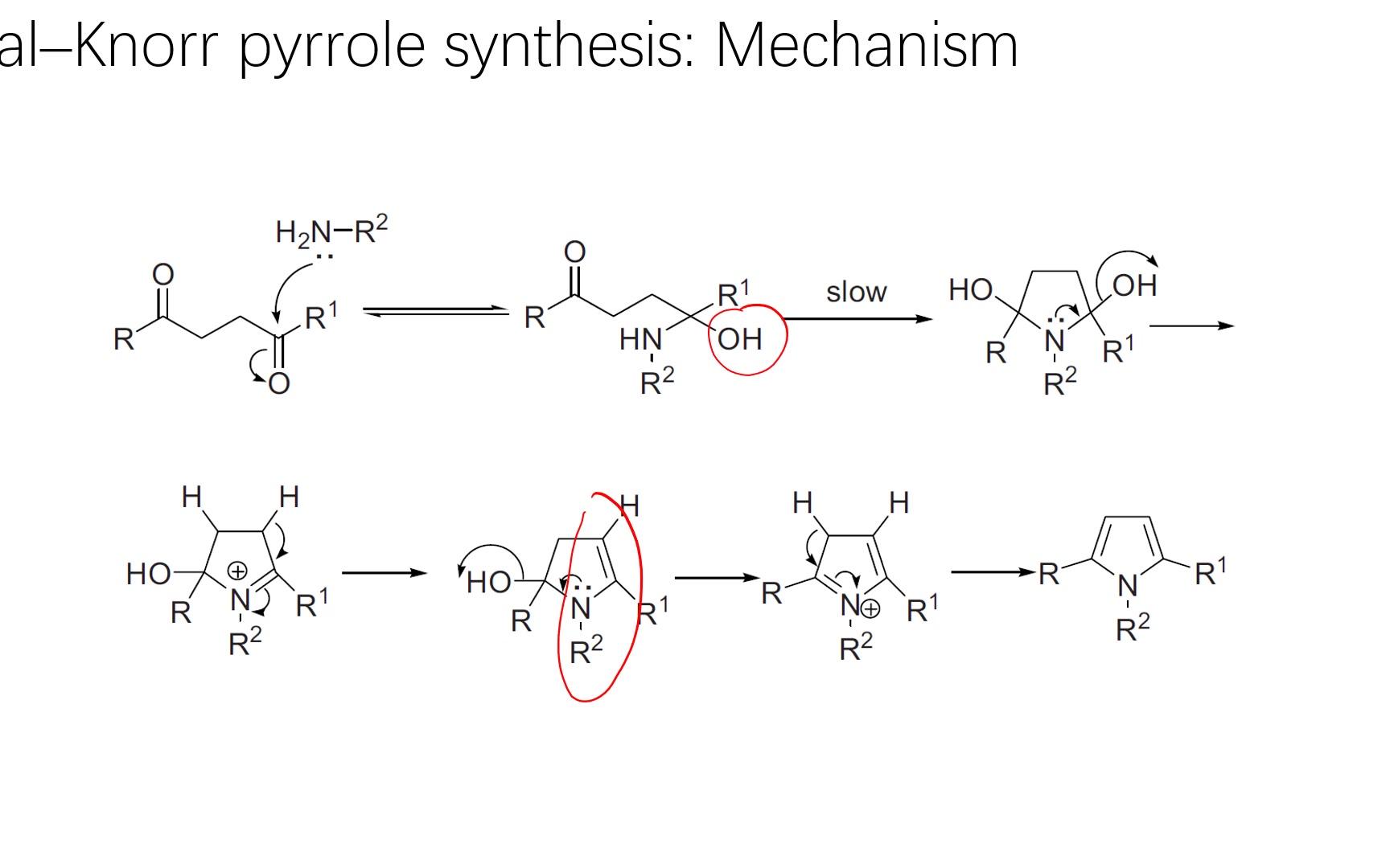 有机人名反应（199）：Paal–Knorr pyrrole synthesis_哔哩哔哩_bilibili
