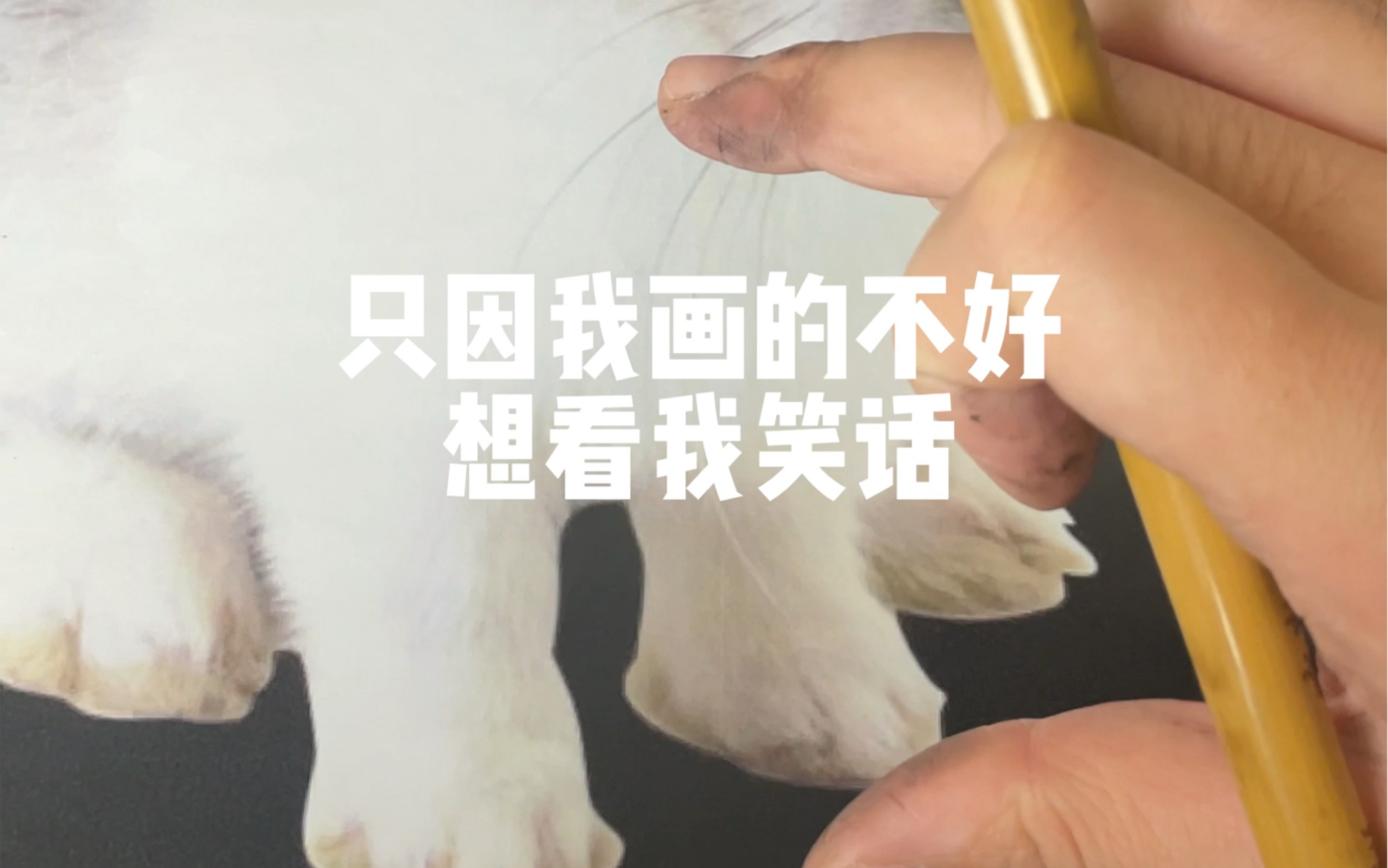 当年那么多人看不起我，这是我练习两年半的画技！ 哔哩哔哩