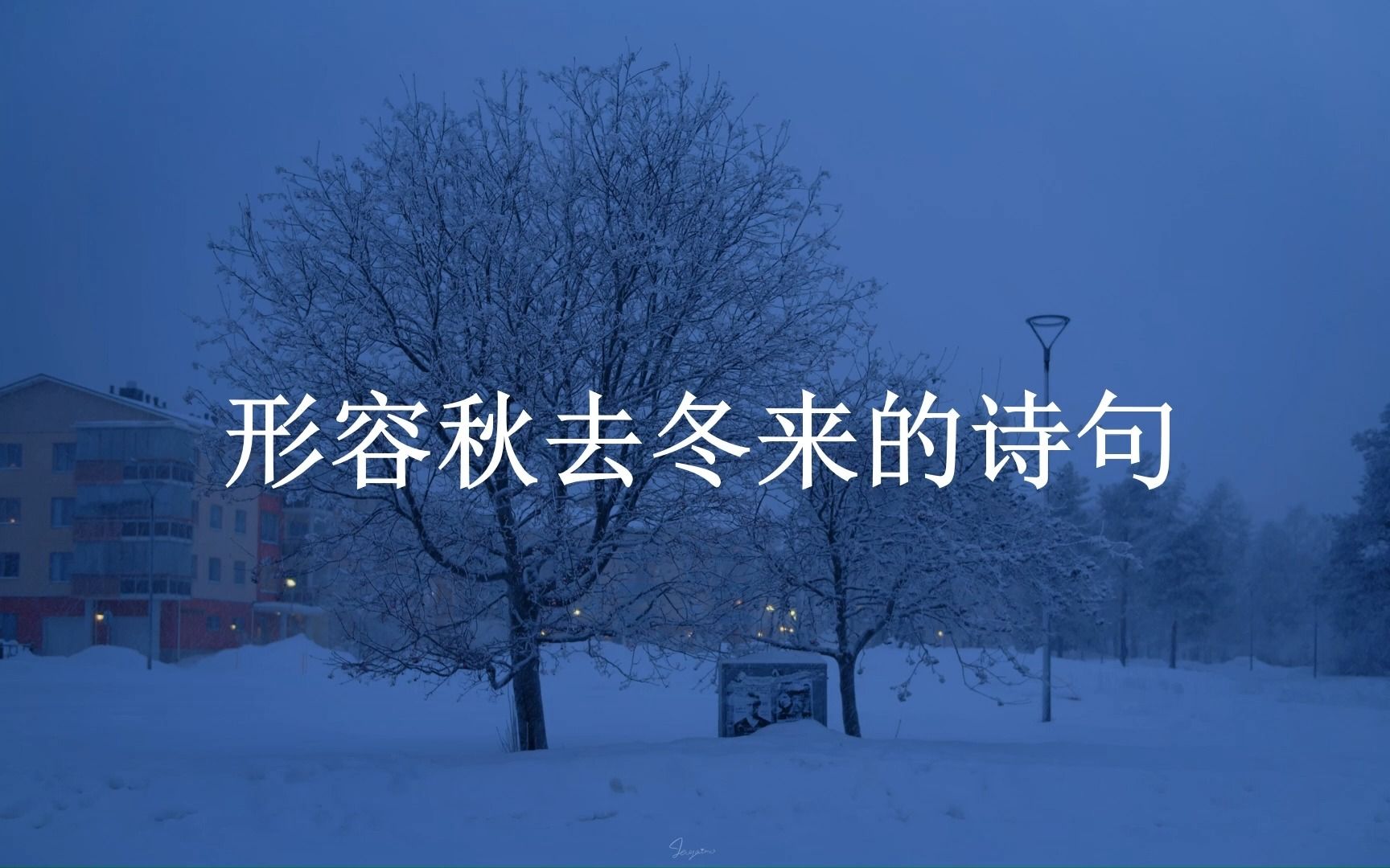 天寒色青苍,北风叫枯桑”——形容秋去冬来的诗句 哔哩哔哩