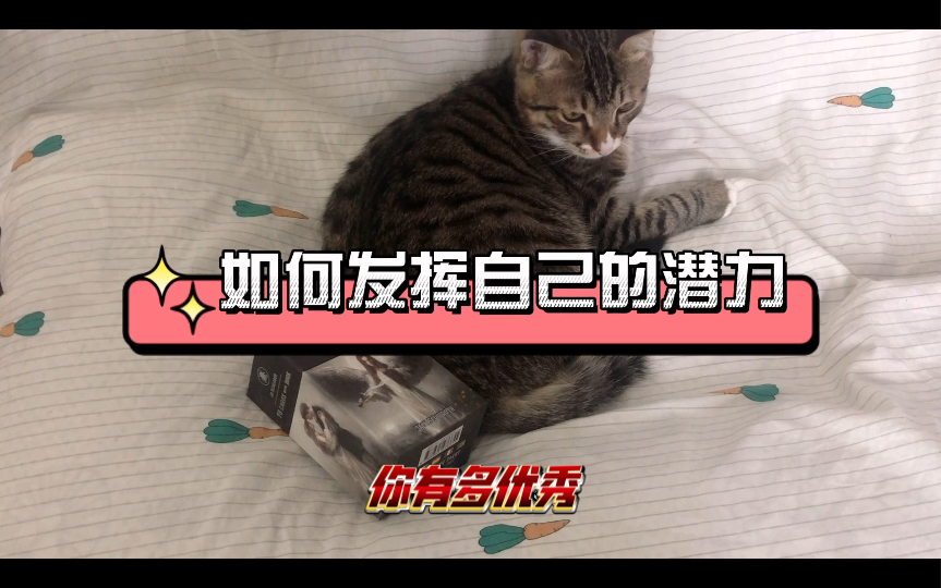 【自我探索】你的潜力是什么,如何发挥自我潜力 哔哩哔哩