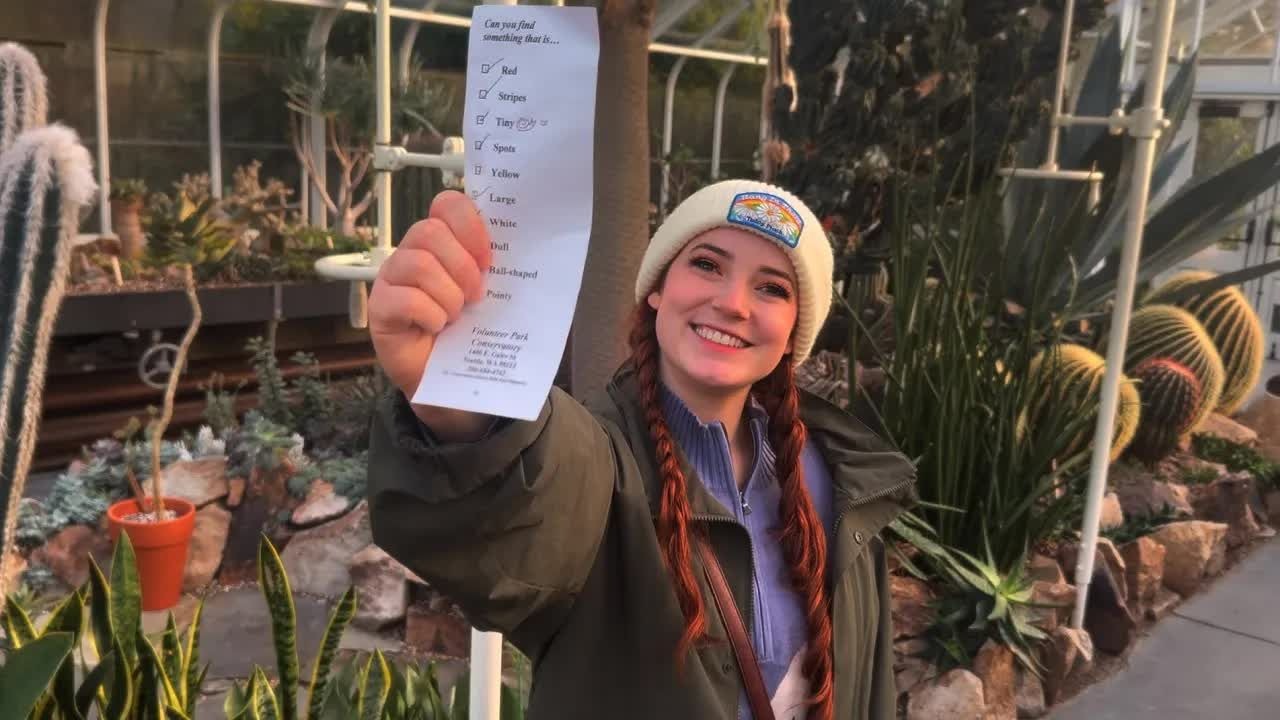 【Goodnight Moon】ASMR雨天温室之旅（低语的有趣的植物事实）（2025年2月22日）-YouTube助眠视频-YouTube助 ...