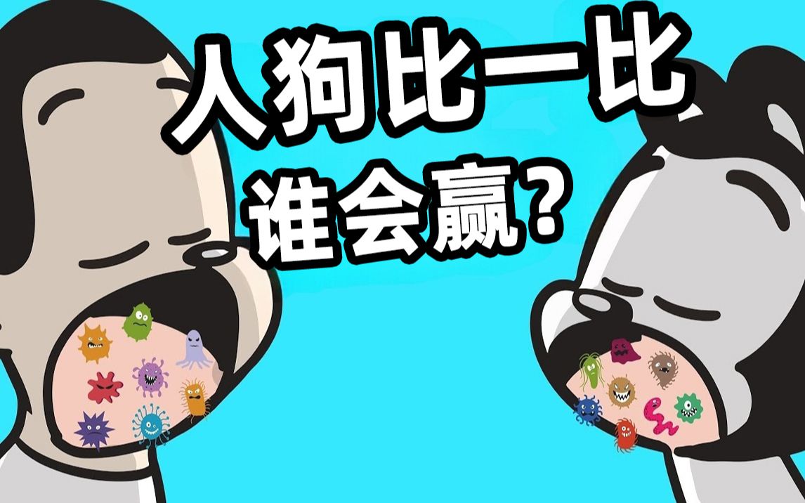 人跟狗比一比,没想到人类竟然弱爆? 哔哩哔哩