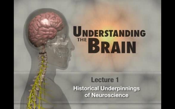 【TTC讲座】解析大脑 Understanding the Brain 36集【英语】_哔哩哔哩_bilibili