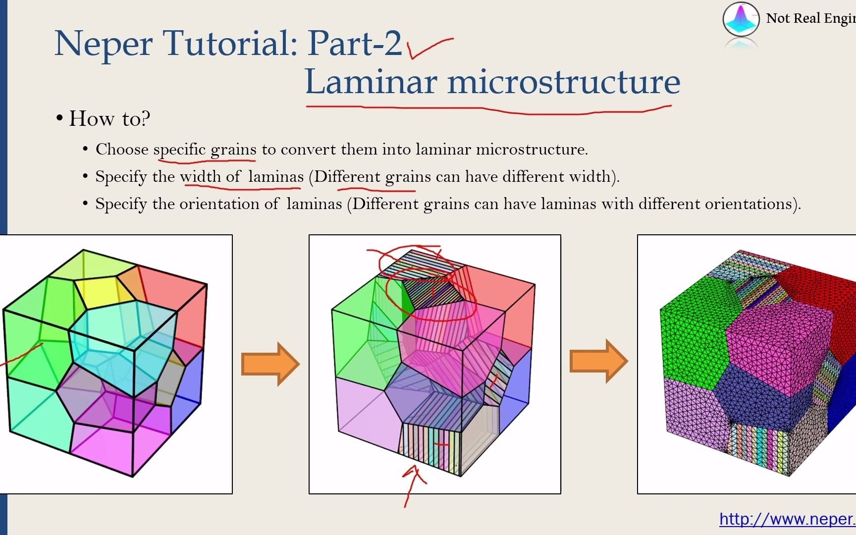 微结构（多晶体）生成和网格Neper软件教程2_哔哩哔哩_bilibili