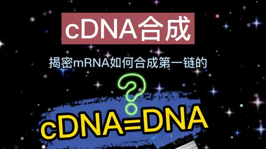 以mRNA为模板，是如何反转录成cDNA的，cDNA是否等同于DNA呢？_哔哩哔哩_bilibili