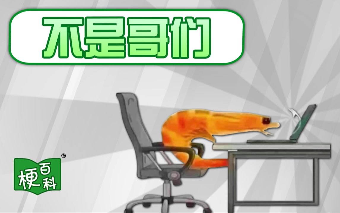 【梗百科】不是哥们是啥梗?此梗已升华为抽象艺术系列?! 哔哩哔哩