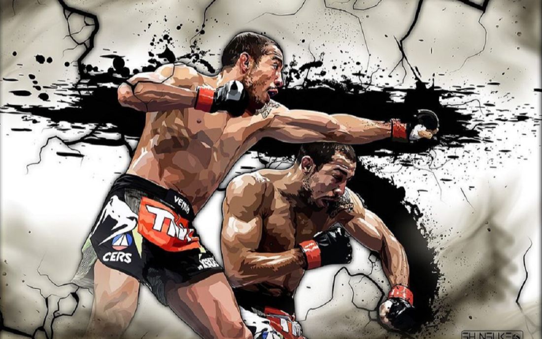 【十年不败无人晓，一朝十三举世闻】巴西国王何塞·奥尔多职业高光 Jose Aldos best WEC and UFC fights ...