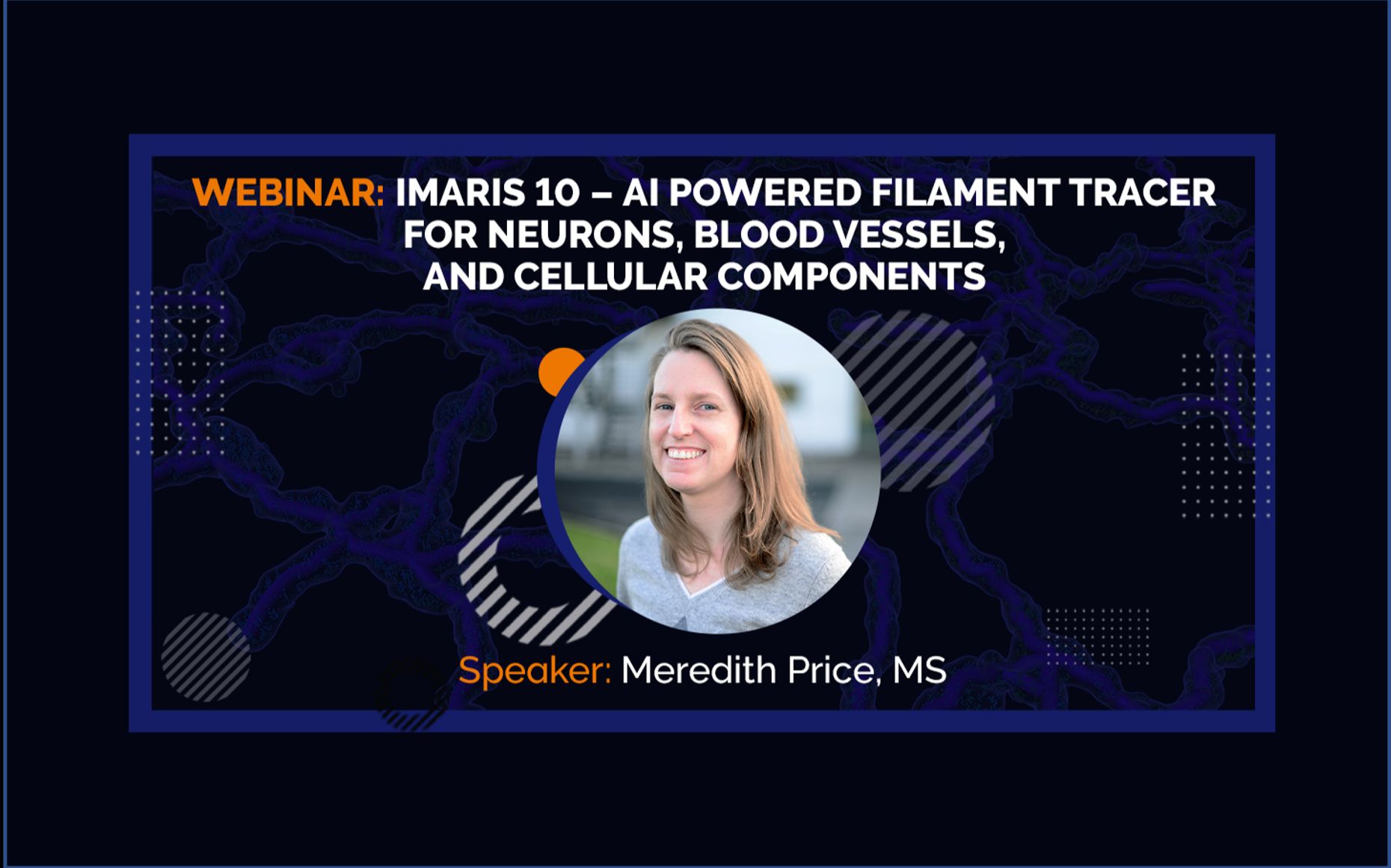 Imaris 10 – AI Powered Filament Tracer-牛津仪器-Imaris-牛津仪器-Imaris-哔哩哔哩视频