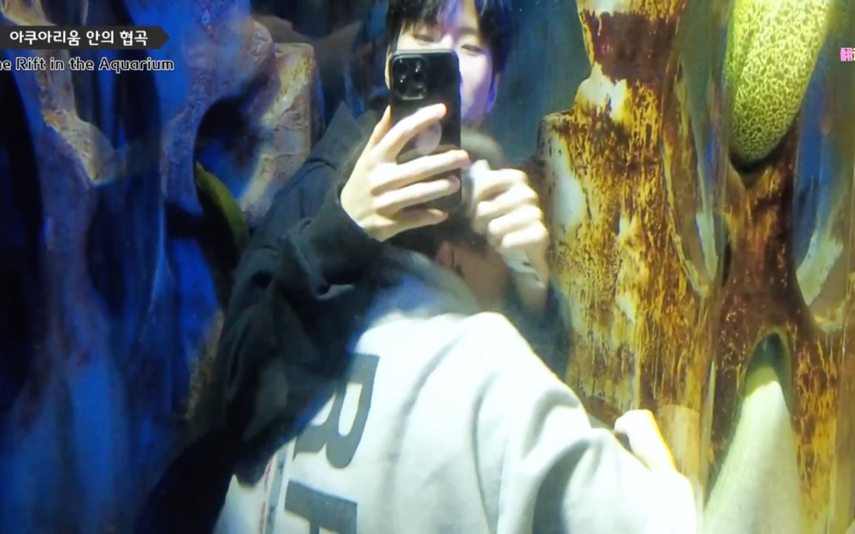 过于活泼的pyosik和deft哥的神奇快乐相处：哥 拍我！拍我！ - 哔哩哔哩