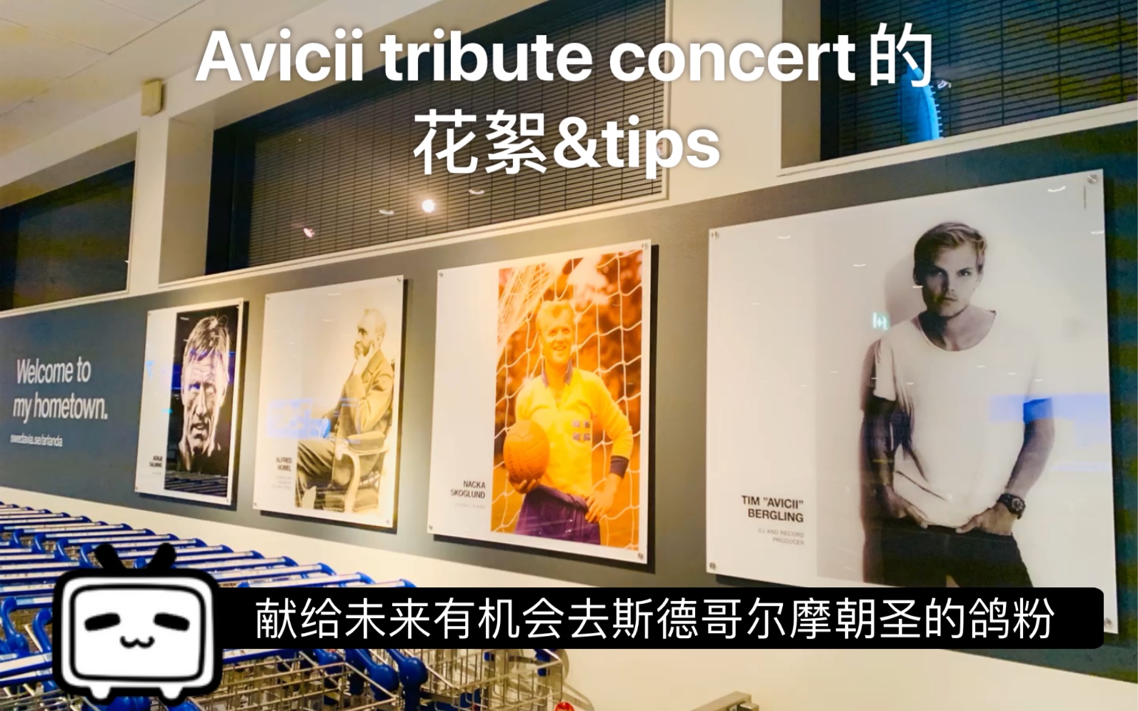 Avicii tribute concert 现场花絮&tips 真爱粉一定要去斯德哥尔摩！_哔哩哔哩_bilibili