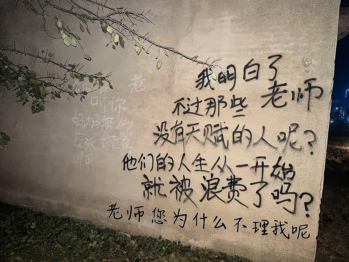 那么 那些没有天赋的人呢 哔哩哔哩