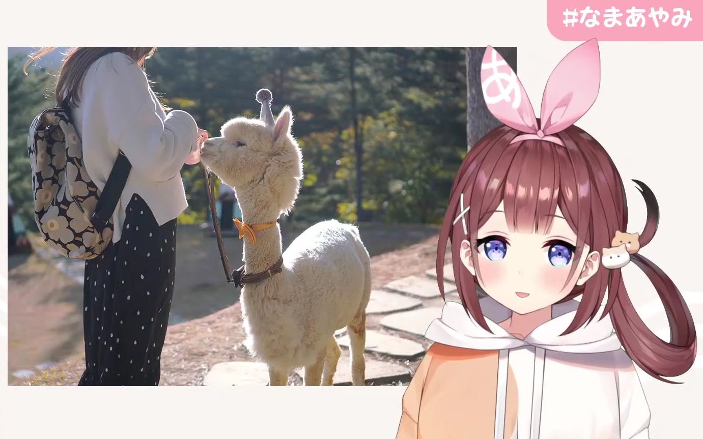 【超美丽3D？！】Ayamy和羊驼不得不说的故事【AYAMYあやみ】_哔哩哔哩_bilibili