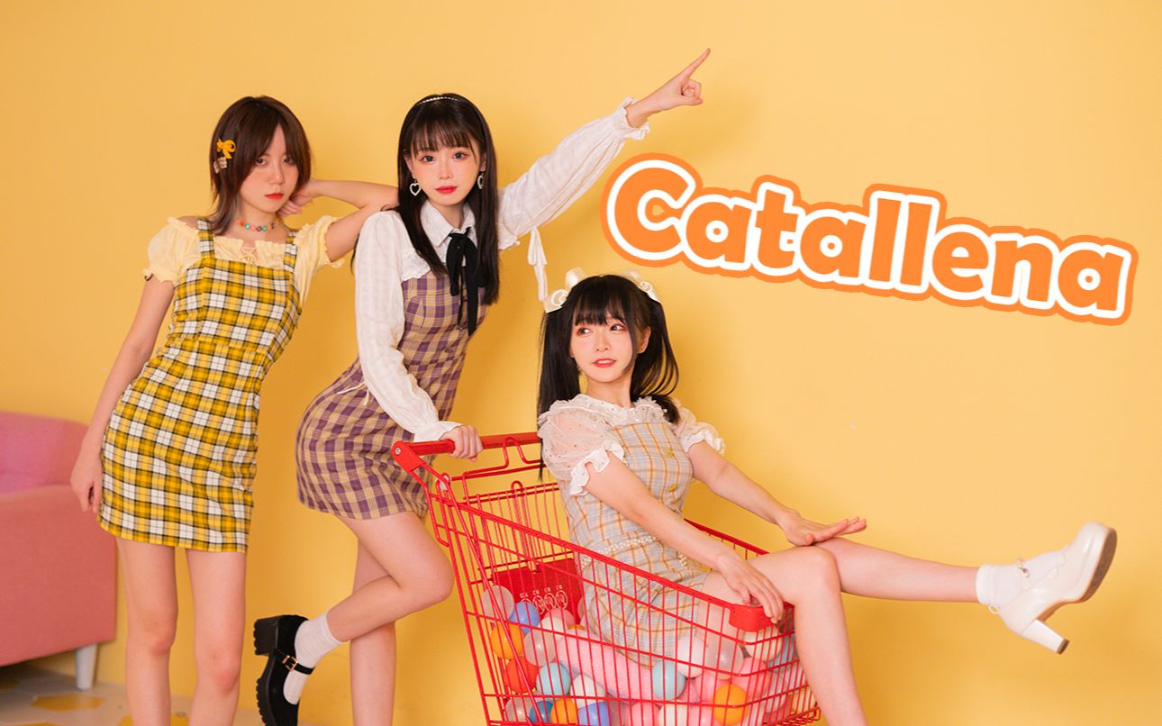 进来开盲盒 Catallena【獭鸡狗】_哔哩哔哩_bilibili