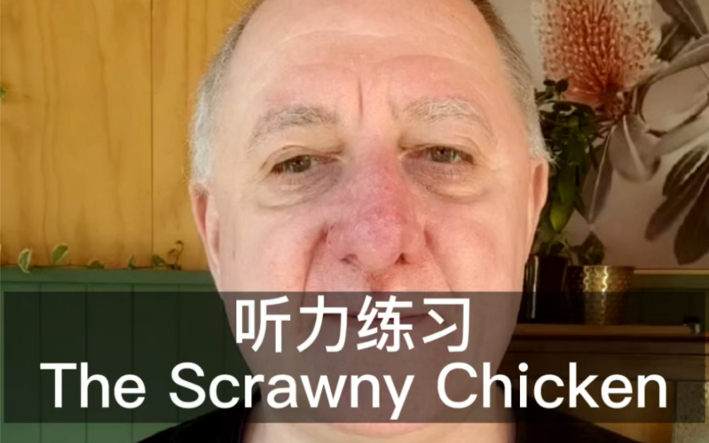 听力练习-The scrawny chicken_哔哩哔哩_bilibili