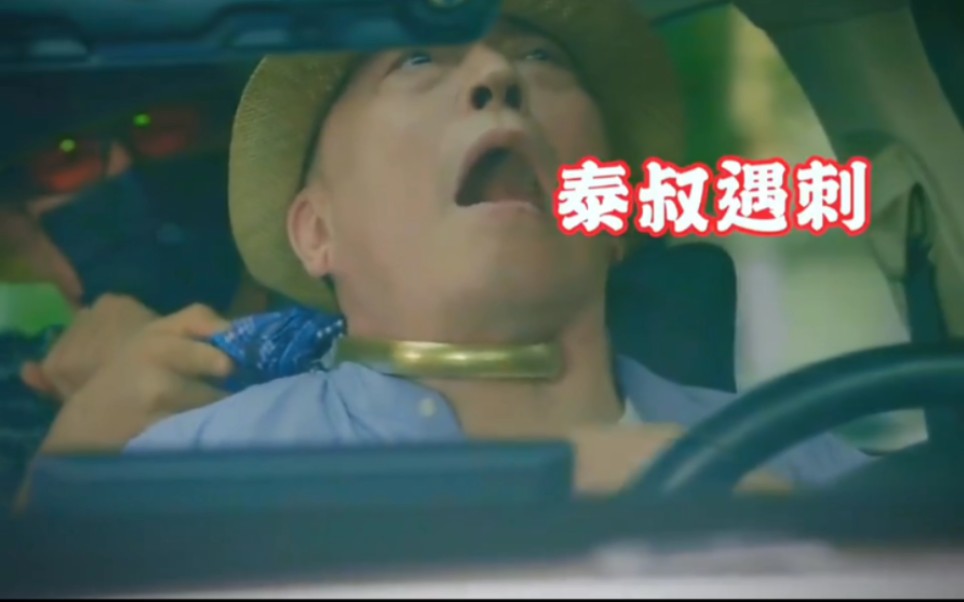 泰叔：如果有下辈子我一定不会收干儿子了。当初收你高启强就想你给我养老送终， 哔哩哔哩