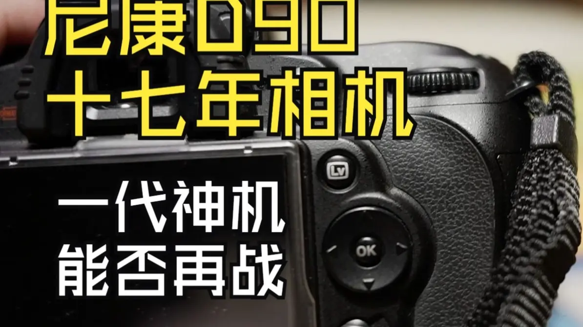 【捡垃圾】尼康D90 17年老相机 能否再战 对比松下S9样张 你能找出来吗？_哔哩哔哩_bilibili