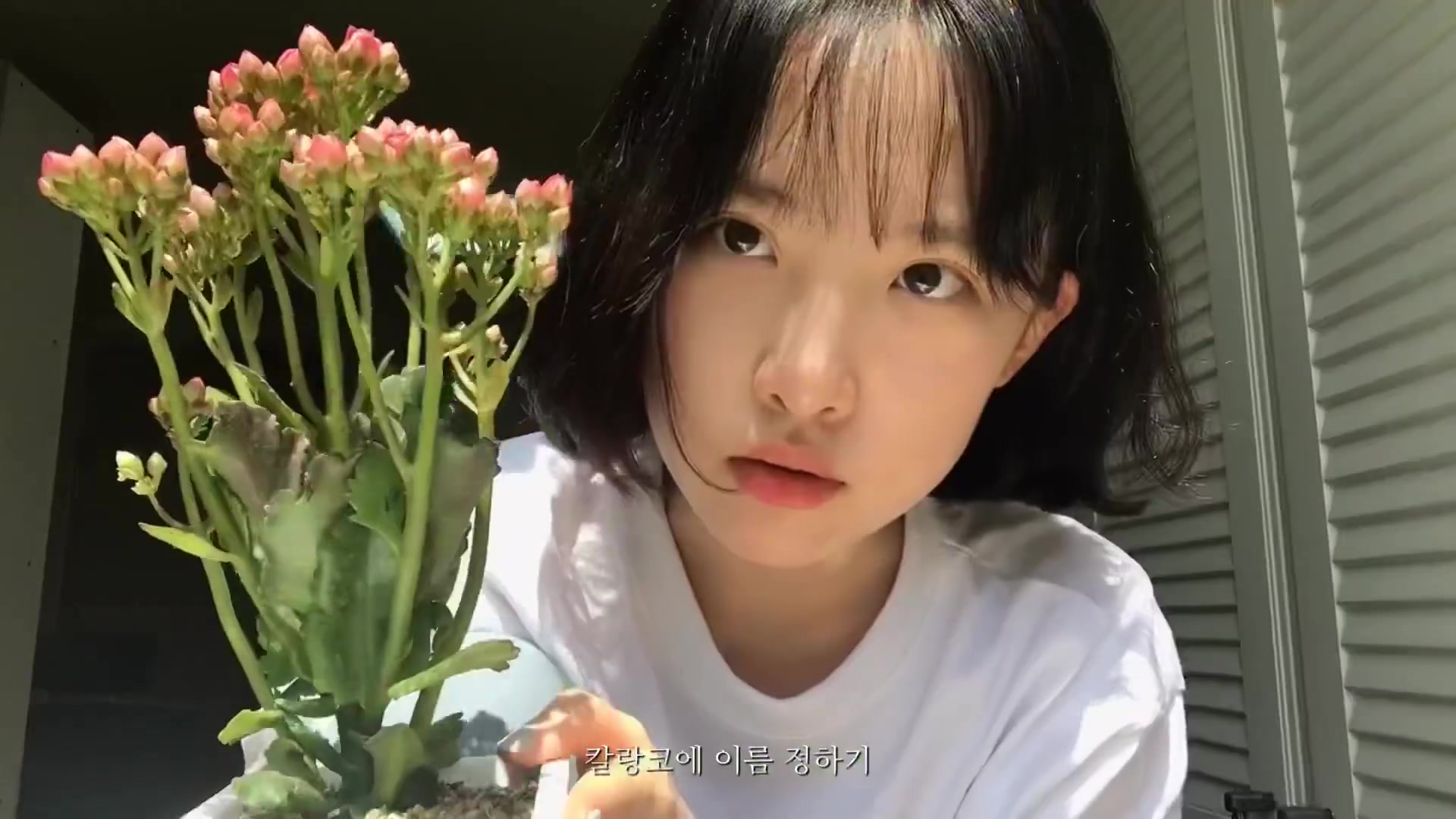 【jomy】【合集持续更新】韩国高中生学霸的学习日常vlog|study with me_哔哩哔哩_bilibili