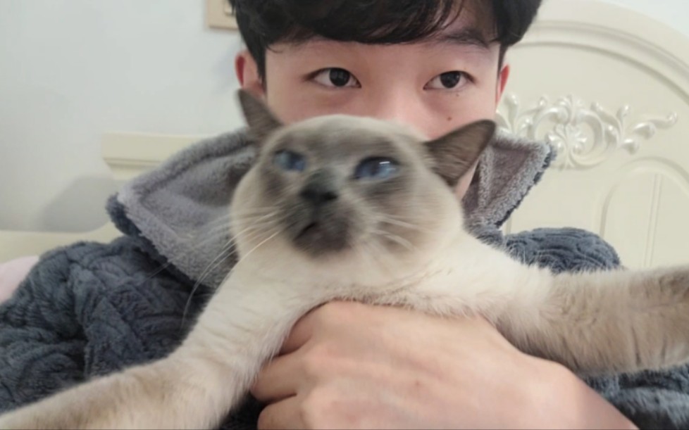 我被猪拱了，救命！！！ 哔哩哔哩