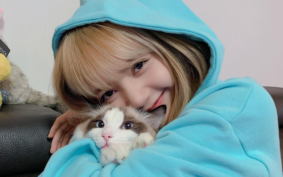 lisa电脑壁纸高清1080-千图网