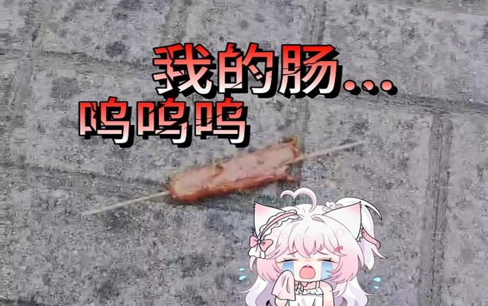 我的肠......-九糖Jokioo-九糖Jokioo-哔哩哔哩视频