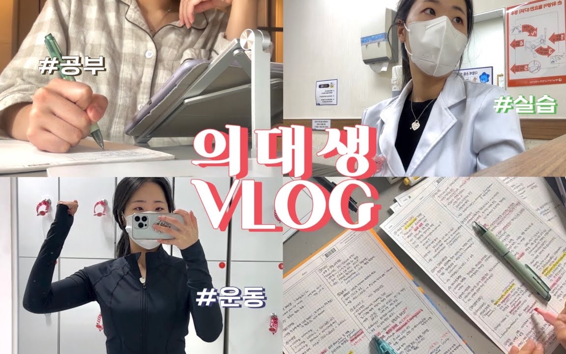 【中字】[hyobin] 韩国医学生Vlog｜熬夜复习考试🔥｜迎接新年的实习/课题/健身/跳舞-layyyyyyy_07-hyobee-哔哩哔哩视频