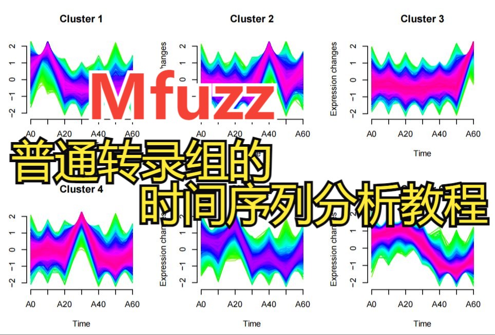 36(附代码)生信学习必看，普通转录组的时间序列分析，Mfuzz分析一键出图教程！！！！-不太会生信哥-不太会生信哥-哔哩哔哩视频