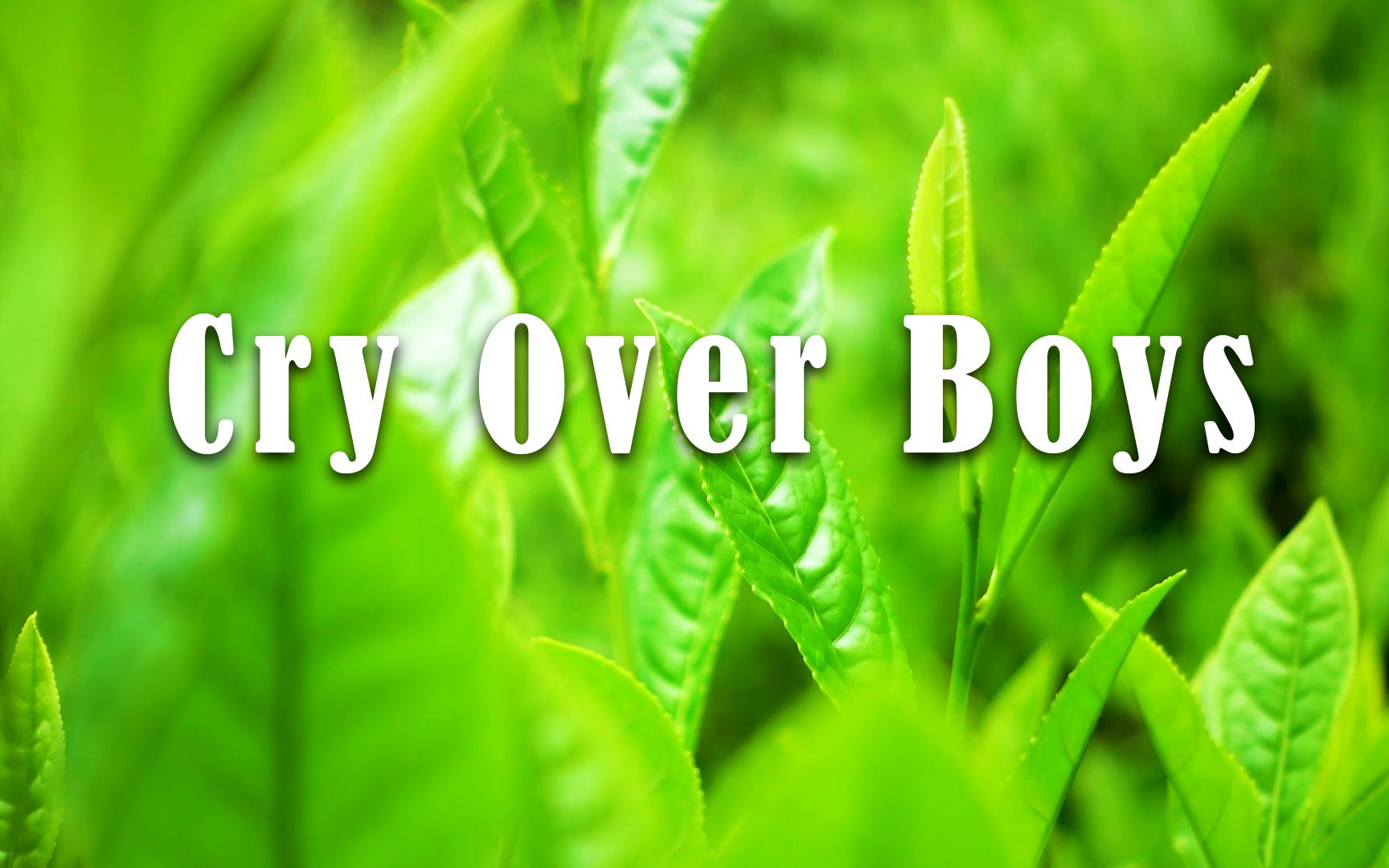 温柔治愈系男声，爱拥抱着我《Cry Over Boys》-慢慢听首歌-慢慢听首歌-哔哩哔哩视频