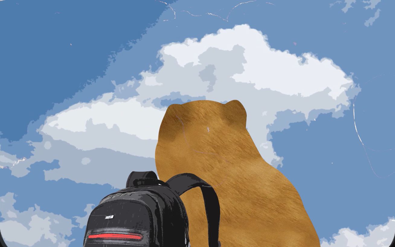 “cheems 你找到生活的方向了吗”-CHeems的日常-CHeems的日常-哔哩哔哩视频