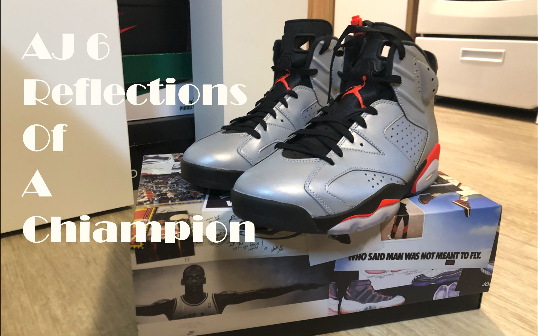 【鞋说说鞋】AJ6 反射银 学生党能穿上的最闪的AJ正代鞋_哔哩哔哩_bilibili
