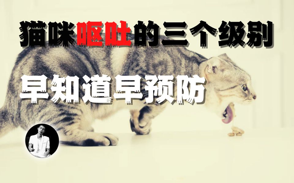 如何通过猫的呕吐物,判断猫咪是否生病 哔哩哔哩