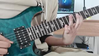 PRS SE 大双摇音色对比 Custom 24 Floyd VS Floyd Custom 24 Exotic Wood 限量版_哔哩哔哩_bilibili