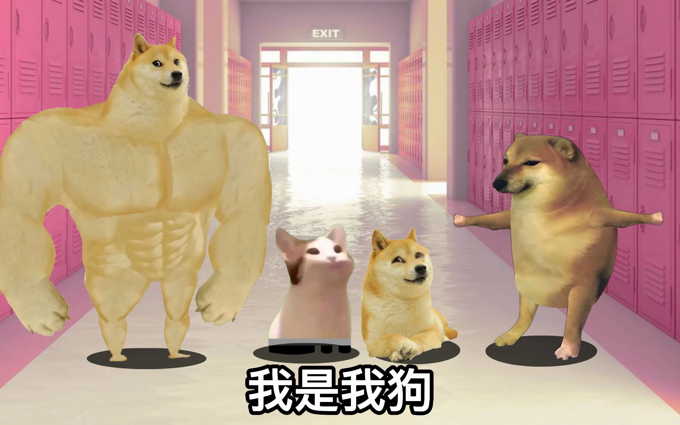 这段绕口令真是太复杂了-cheems小电影-cheems小电影-哔哩哔哩视频