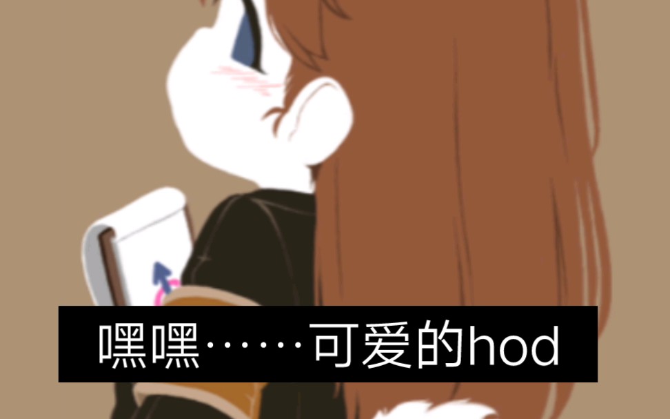 可爱的hod……嗨嗨hod…… - 哔哩哔哩