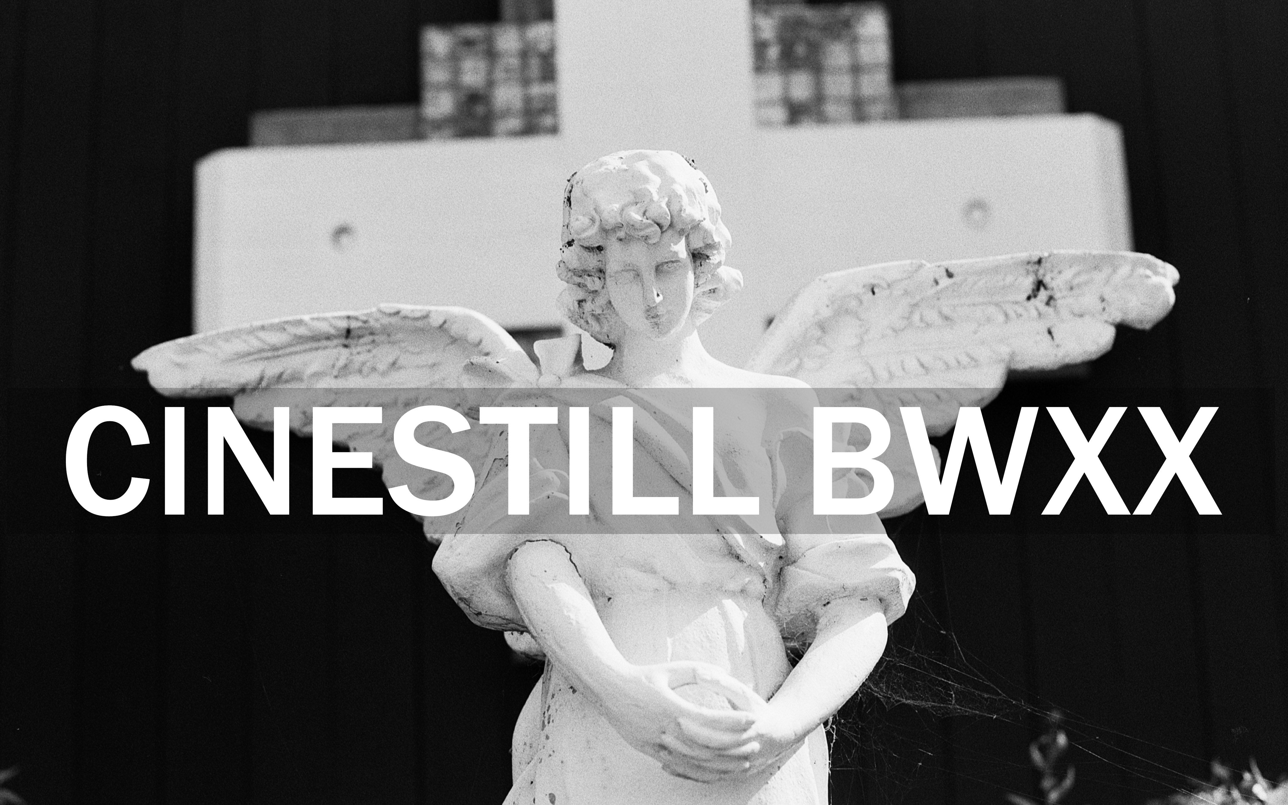 CineStill又出新电影卷了？CineStill BWXX 120中画幅黑白胶卷第一次使用感受_哔哩哔哩_bilibili