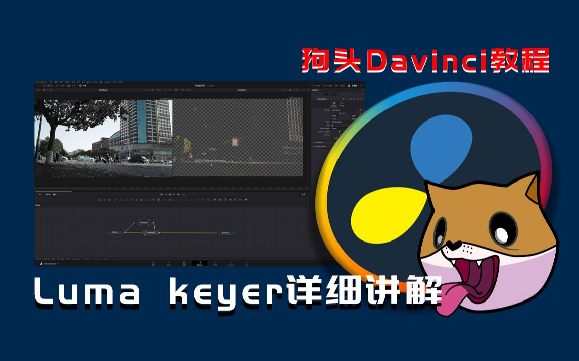 【狗头达芬奇Fusion教程】Luma keyer亮度抠像节点详细讲解_哔哩哔哩_bilibili