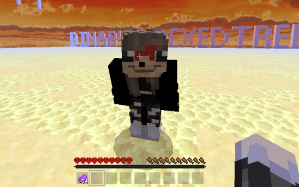 pinger training_哔哩哔哩bilibili