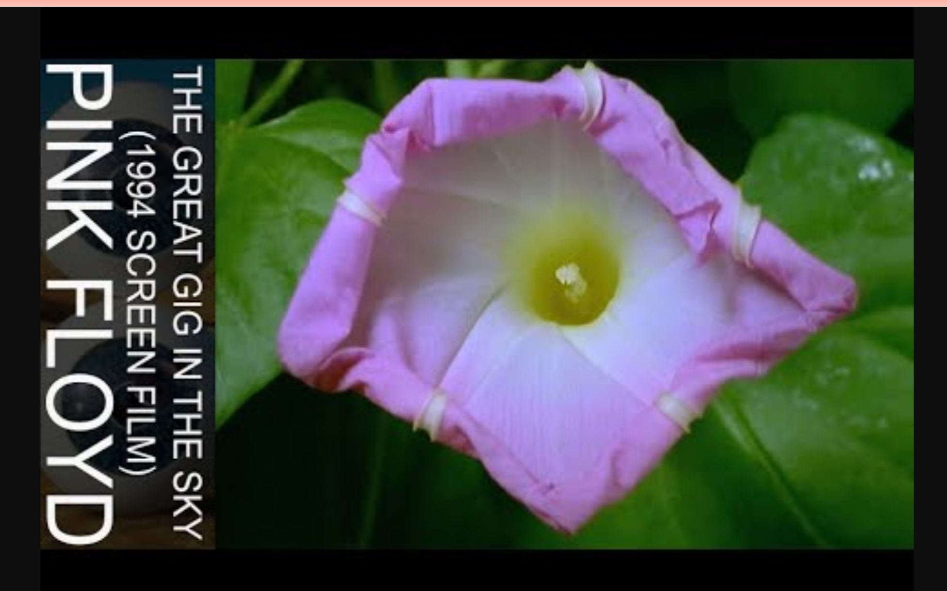 【演唱会影片4K】Pink Floyd - The Great Gig In The Sky (1994 Screen Film)-Pink ...