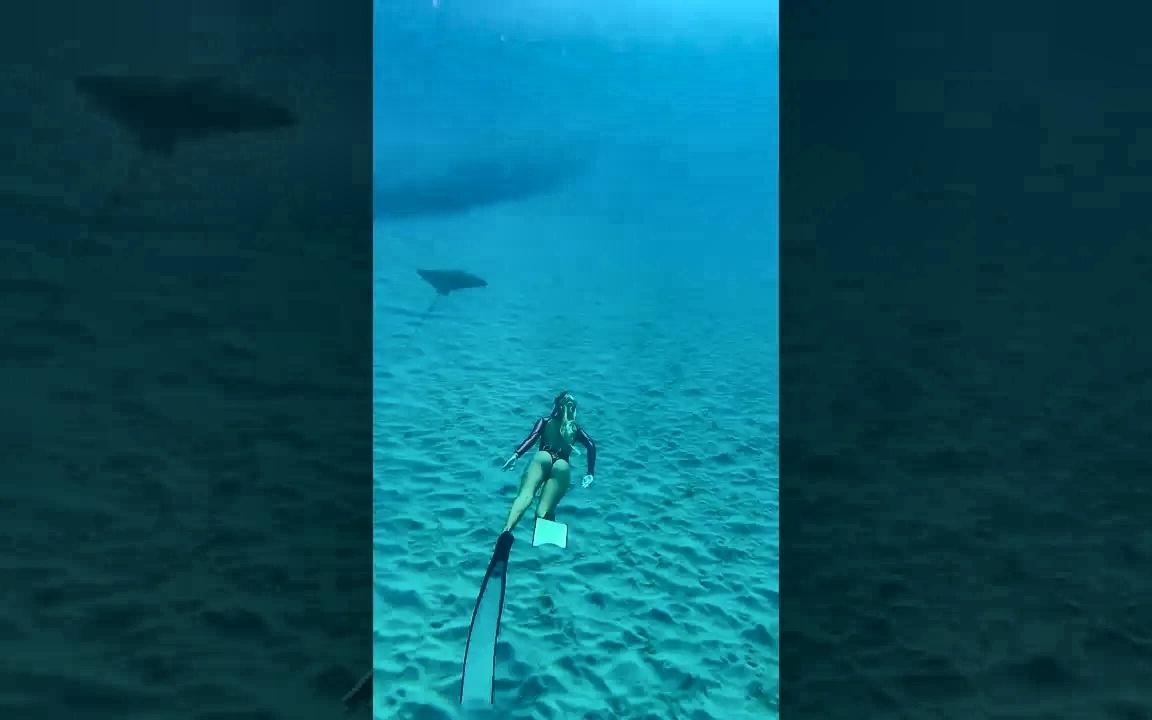 [shanger danger] 不要在海洋中留下掘金_哔哩哔哩_bilibili