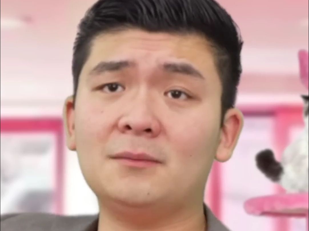 废物管理公司的猫咖 13【Steven He】-Steven_He官方账号-Steven_He官方账号-哔哩哔哩视频