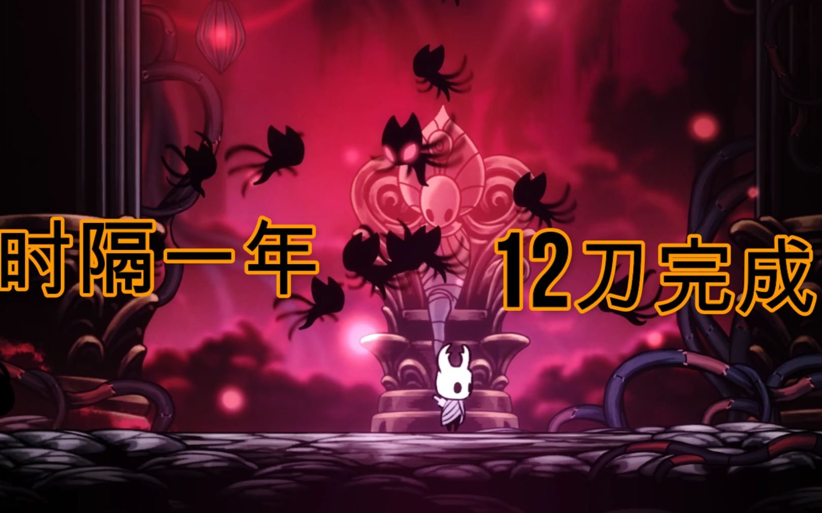 【空洞骑士】托了一年的东西 地火12刀_哔哩哔哩_bilibili