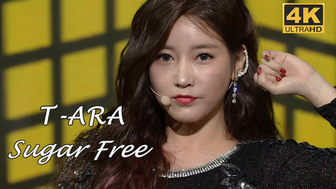 T Ara Sugar Free