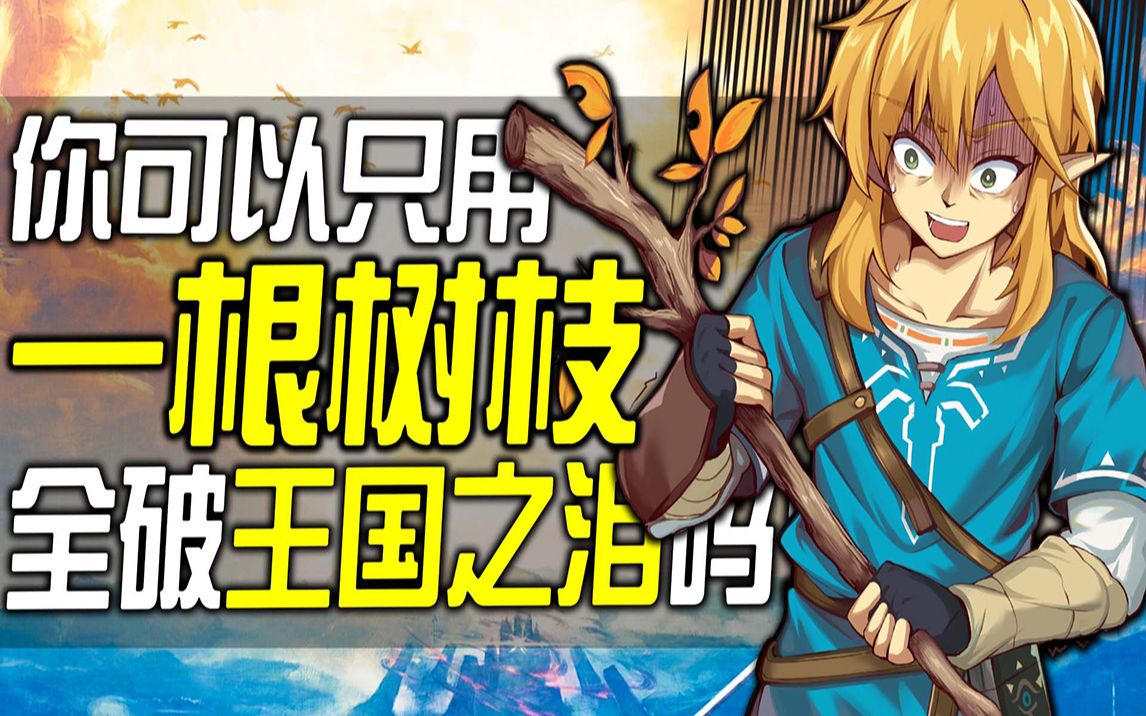 你可以只用一根树枝全破《王国之泪》吗?-游戏皮卡噜_PikaLu-游戏皮卡噜_PikaLu-哔哩哔哩视频