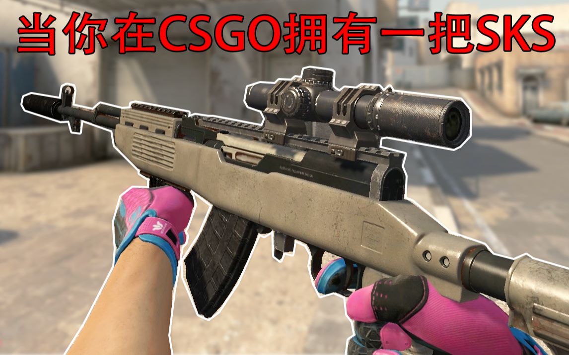 【CSGO】当你在CSGO拥有一把SKS_哔哩哔哩_bilibili
