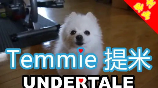 【传说之下】Temmie 提米(Temmie Village)_哔哩哔哩_bilibili