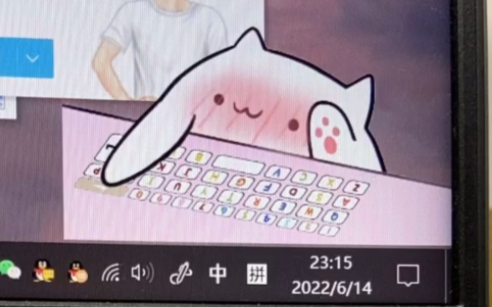 【2023】Bongo cat Mver（键盘小猫）下载+设置教程