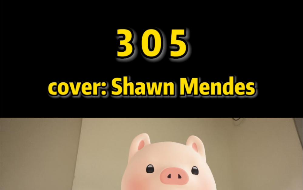 【Shawn Mendes】305（cover）_哔哩哔哩_bilibili