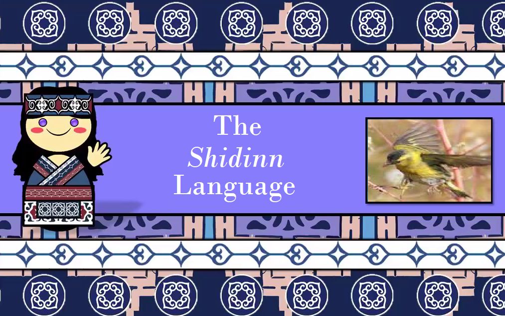 【真·小 语 种】Xdi8(希顶语)听起来是什么样子的？The Sound of the Shidiin Language_哔哩哔哩 (゜-゜ ...