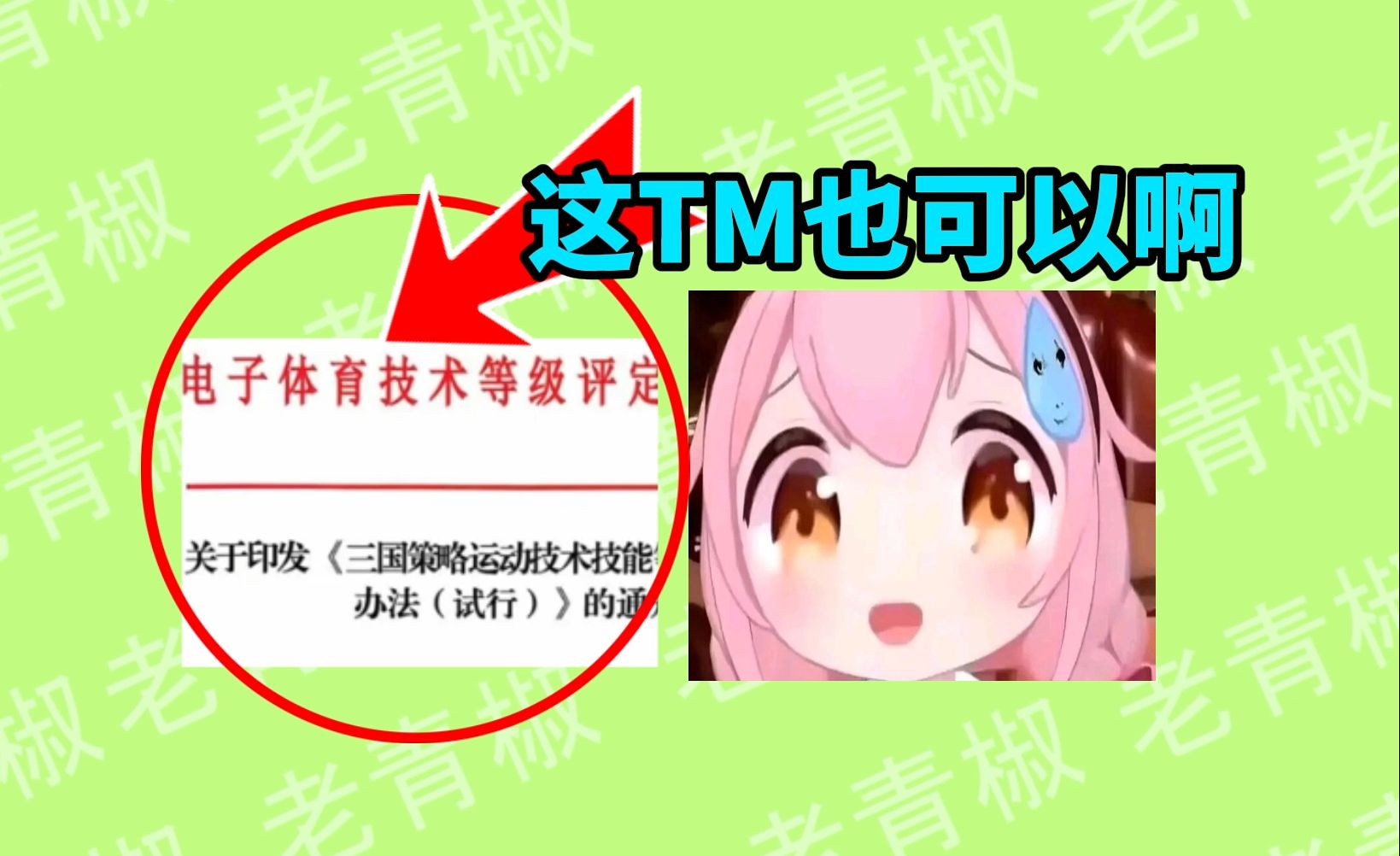 【乐子周报】难绷！三国杀电竞化？比赛看谁充钱多是吧-老青椒-老青椒-哔哩哔哩视频