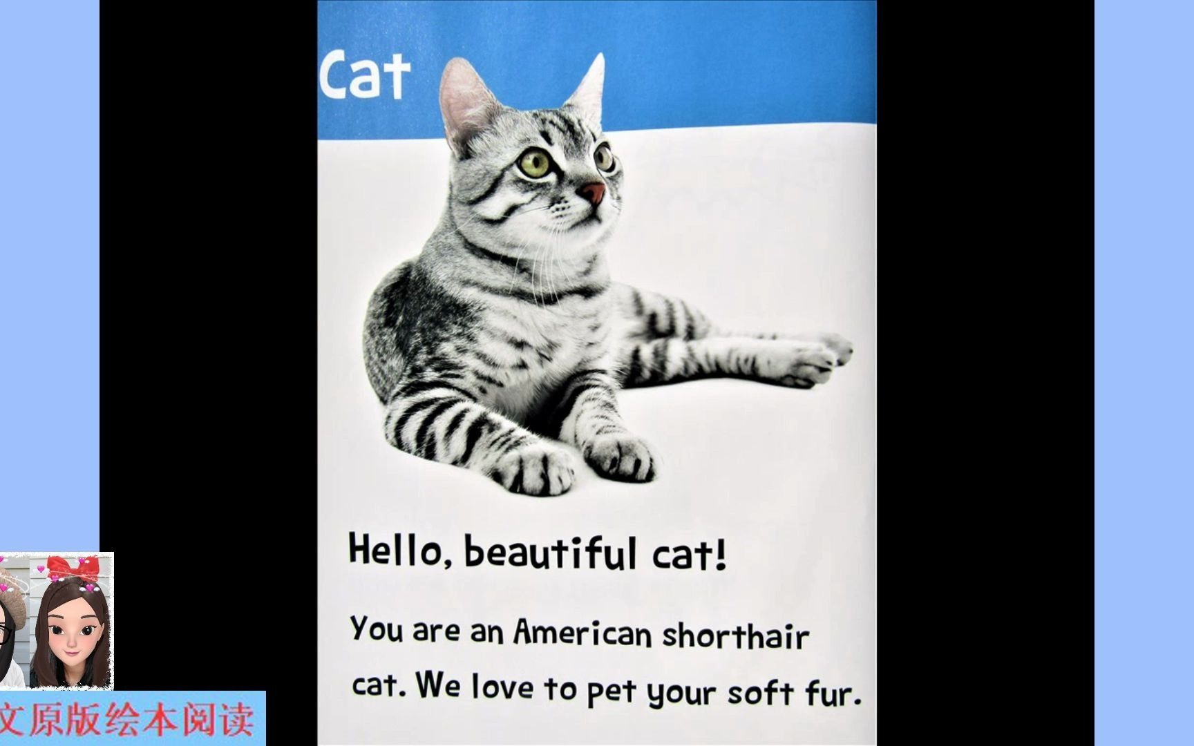 【英文绘本阅读】Hello, Beautiful! Pet Animals: cat 《你好，美丽! 宠物篇》之猫_哔哩哔哩_bilibili